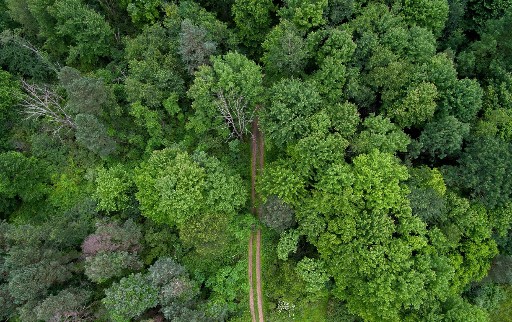 Reparations - Minnesota Interfaith Power & Light